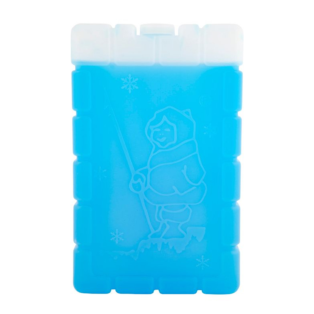 Coleman Large Ice Brick