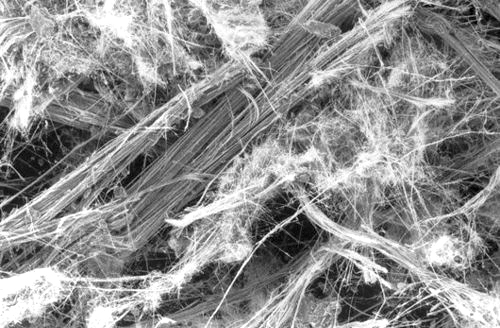 Asbestos: A Natural Fibre